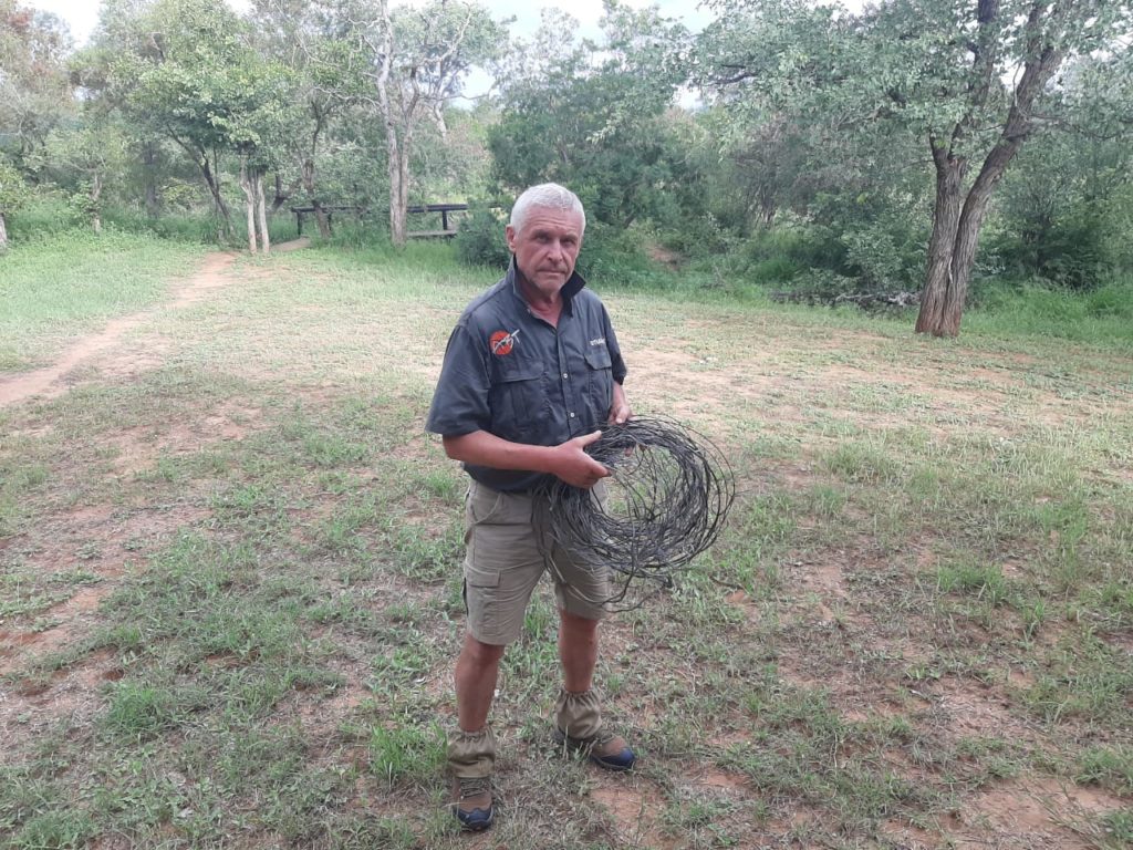 Snares for poaching are a real problem - Bushguide 101