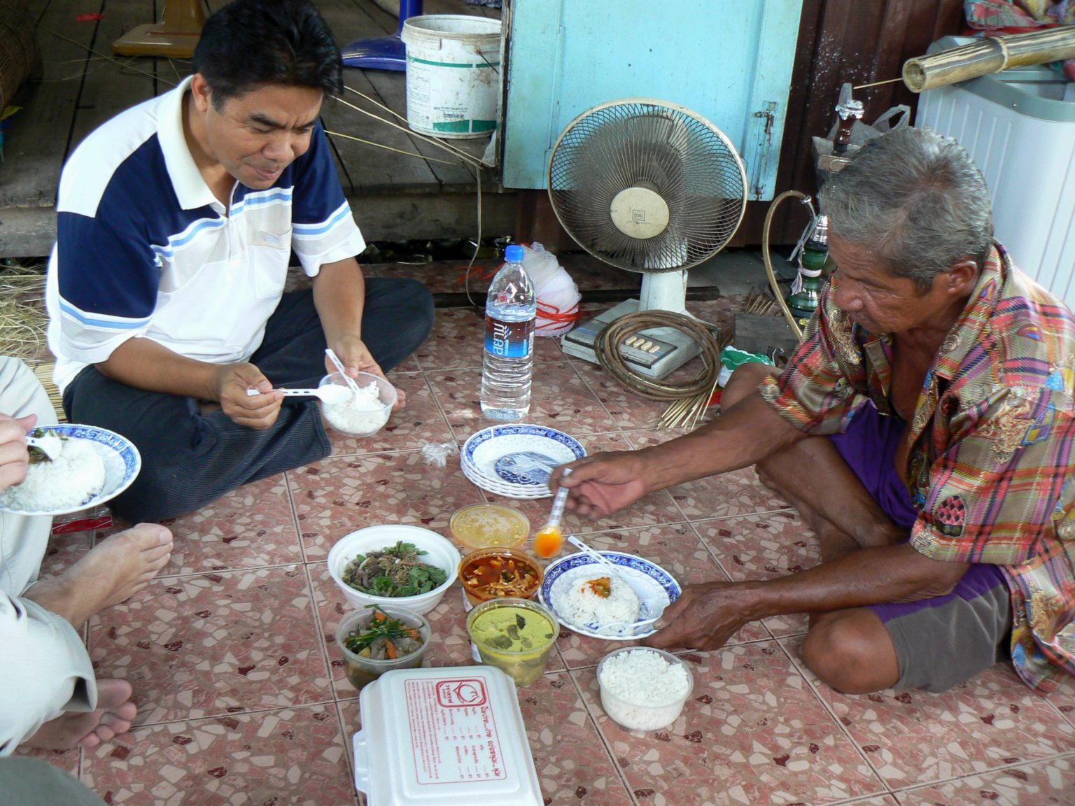 Ricefield shrimps for food - Bushguide 101