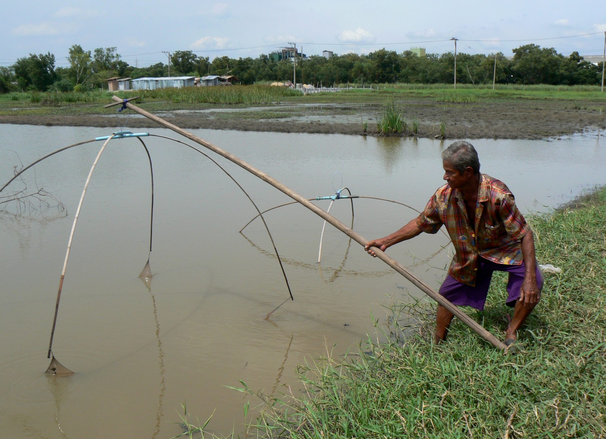 Hand lifting net (Yor lek) in Thailand - Bushguide 101