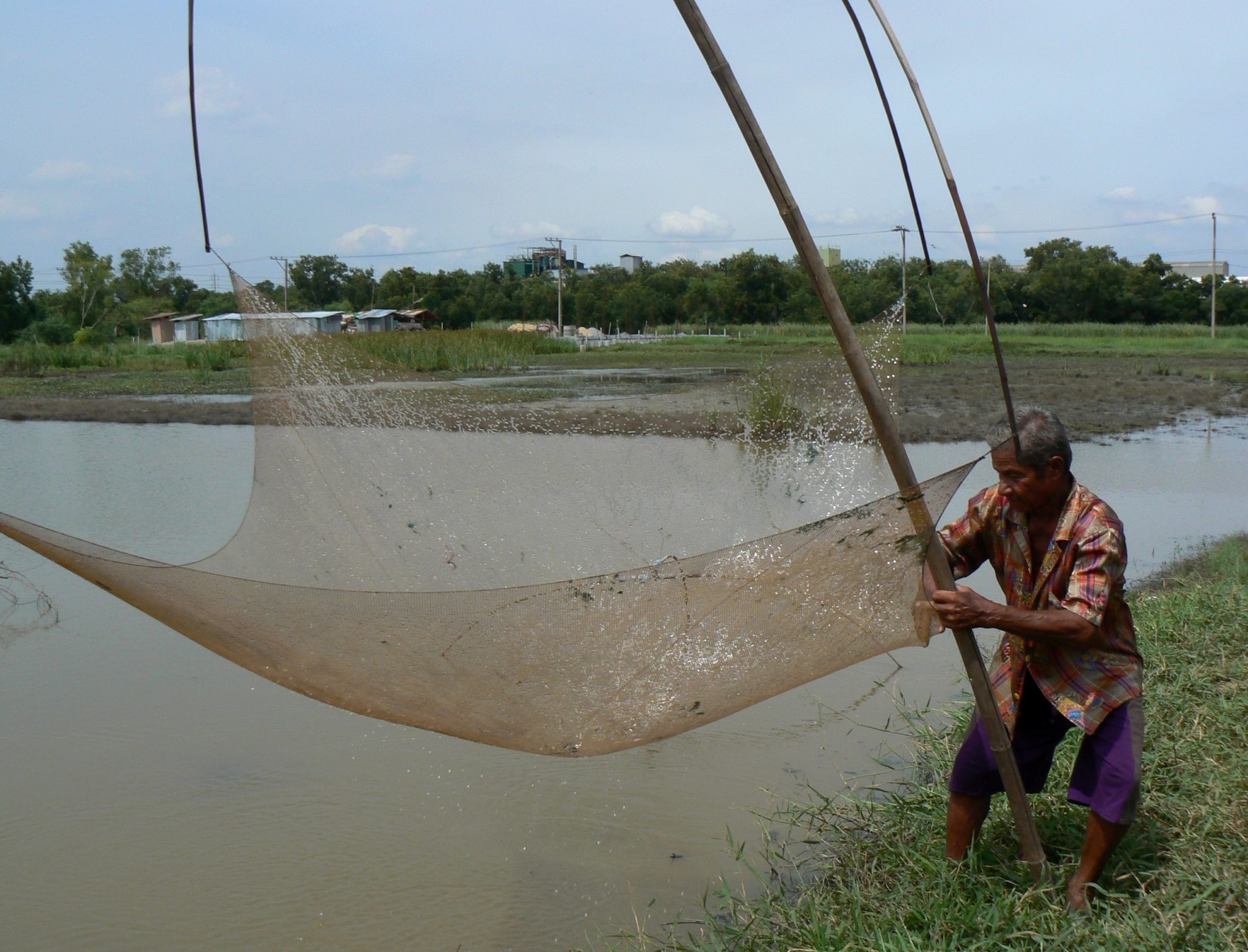 Hand lifting net (Yor lek) in Thailand - Bushguide 101