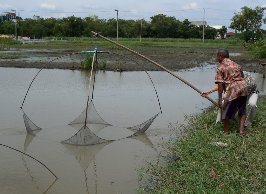 Hand lifting net (Yor lek) in Thailand - Bushguide 101