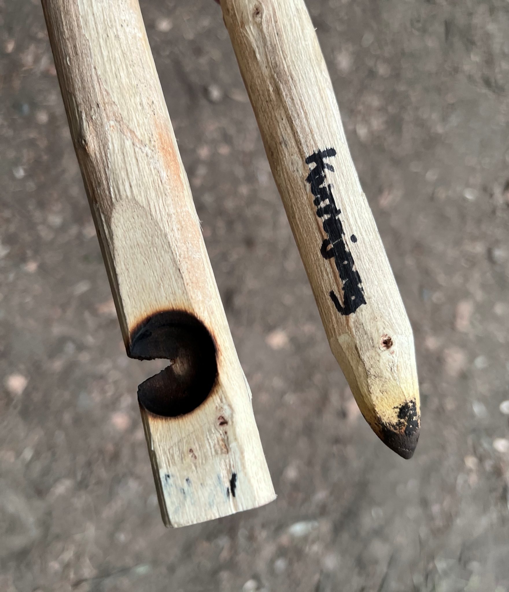 Australian friction-fire woods 1 - Bushguide 101