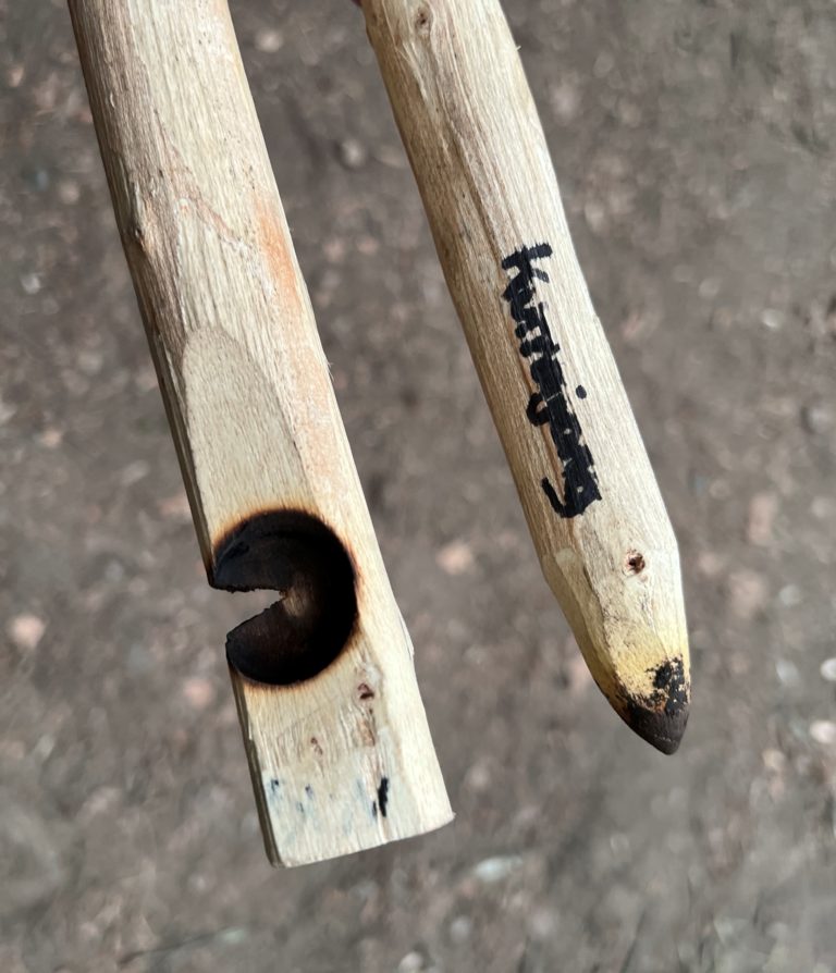 Australian friction-fire woods 1 - Bushguide 101