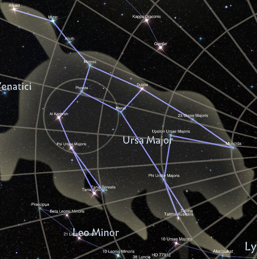 Finding direction with the Pole Star - Bushguide 101