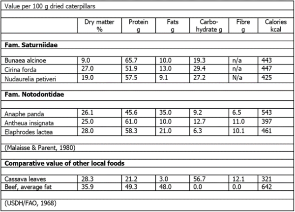 Collection of edible caterpillars in D.R. Congo - Bushguide 101