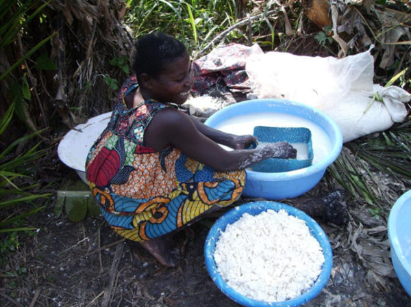 Traditional processing of cassava in Congo - Bushguide 101