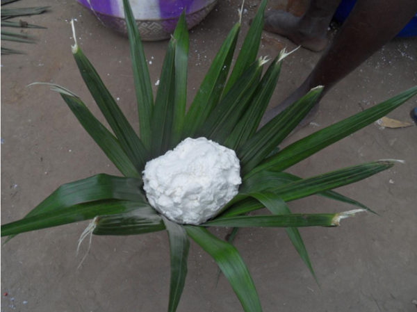 Traditional processing of cassava in Congo - Bushguide 101