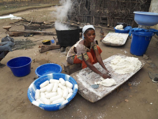Traditional processing of cassava in Congo - Bushguide 101