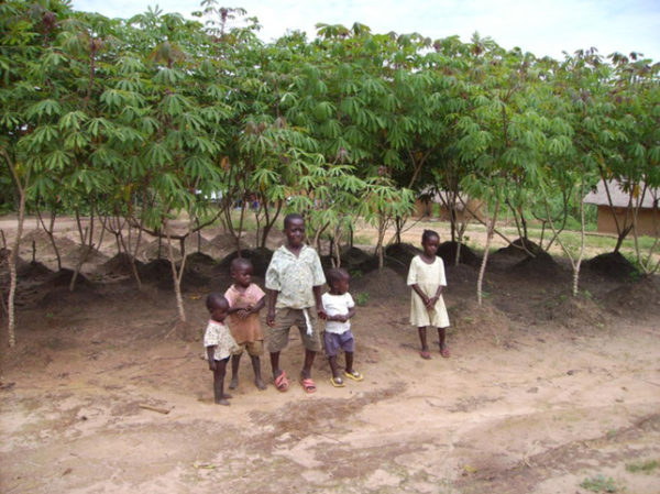 Traditional processing of cassava in Congo - Bushguide 101