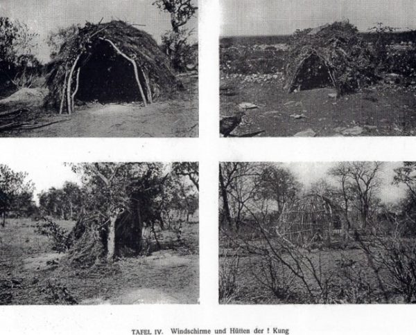 Leaf huts as temporary shelters for shade - Bushguide 101