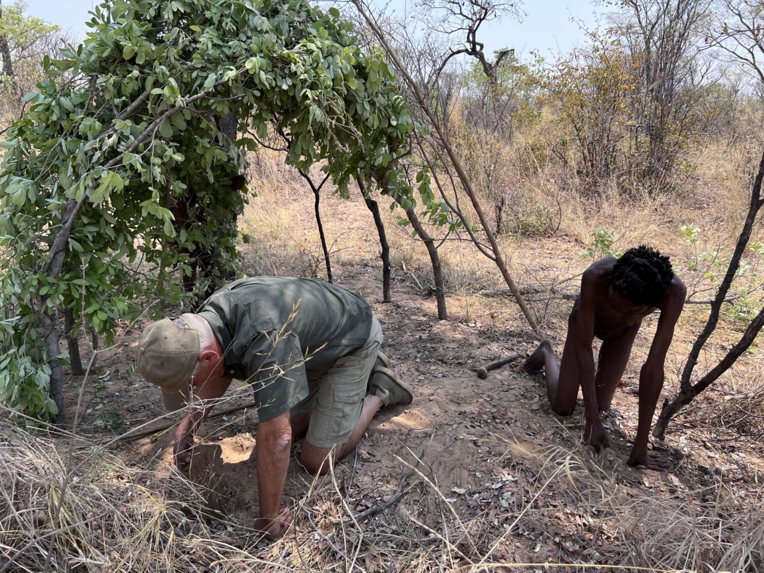 Leaf huts as temporary shelters for shade - Bushguide 101