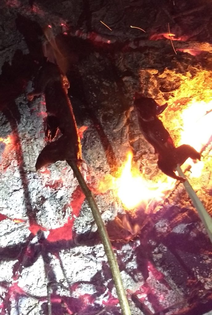 Skinning and processing of dormice in Slovenia - Bushguide 101