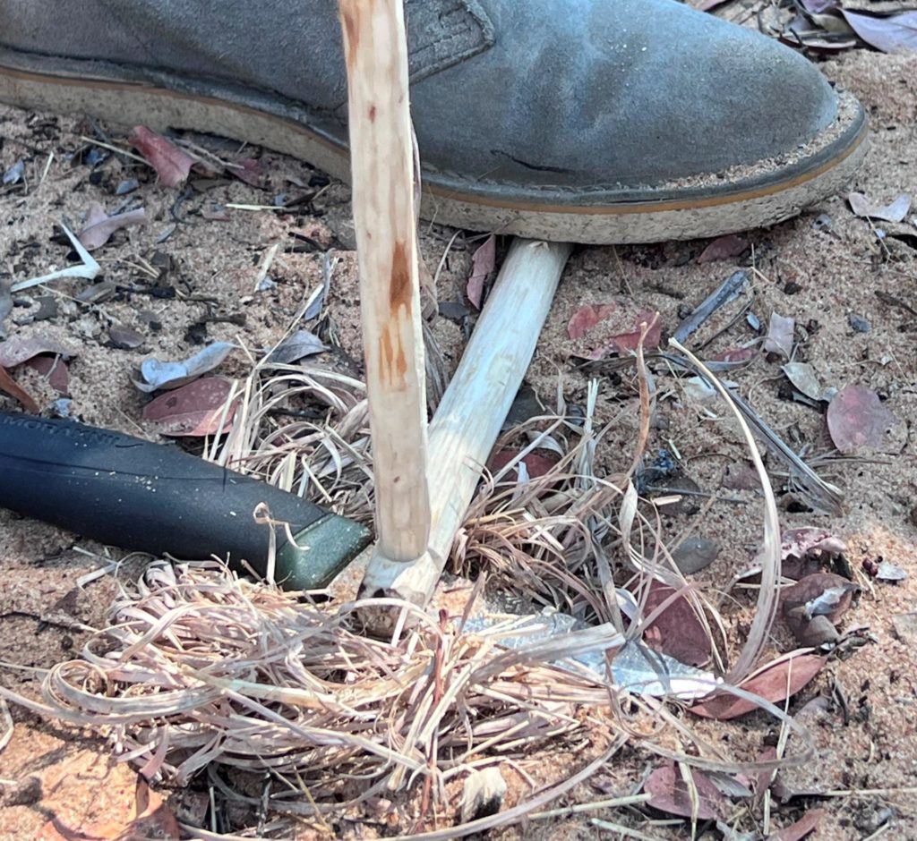 Manketti wood for friction fire lighting - Bushguide 101