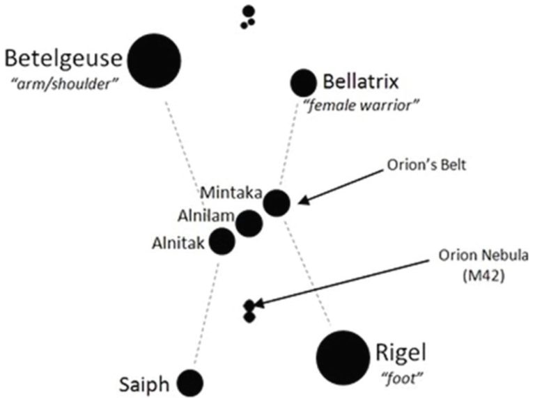 Finding direction with the Constellation of Orion - Bushguide 101