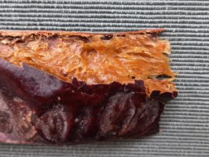 Using Honey Locust Pods as Food - Bushguide 101