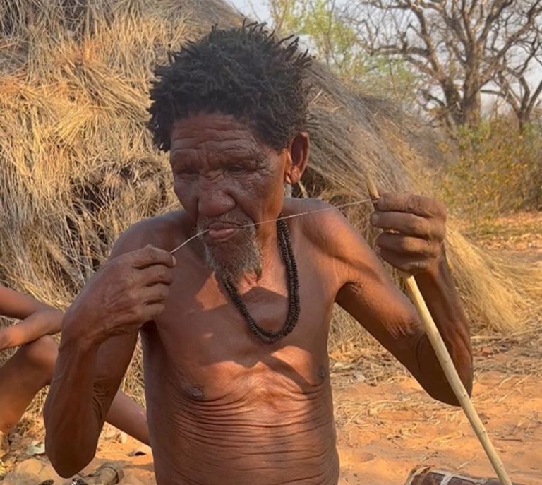 Making bushmen bows for hunting - Bushguide 101