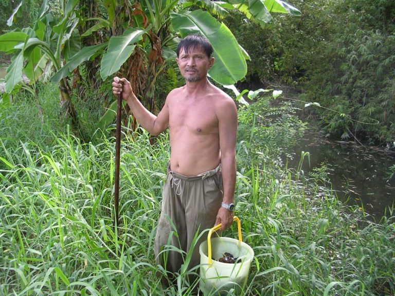 Freshwater snails for food - Bushguide 101