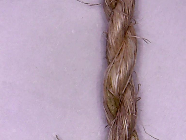 Making bow strings from plant fibers - Bushguide 101