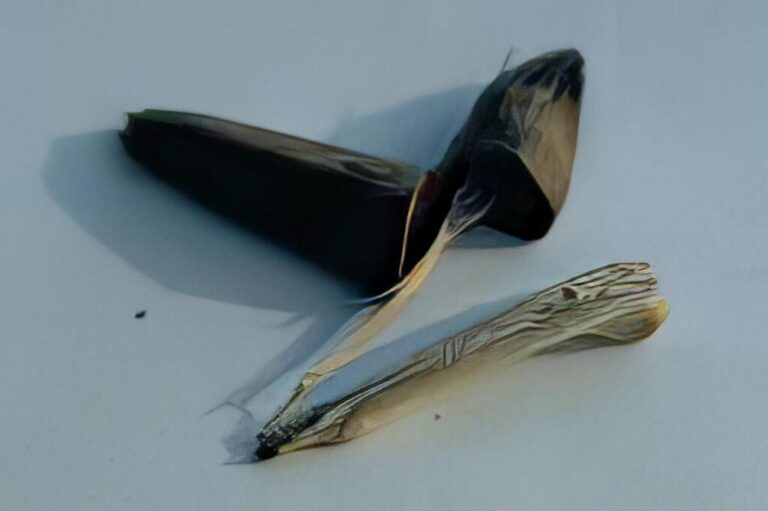 Karuka – cultivated pandanus fruits and nuts - Bushguide 101