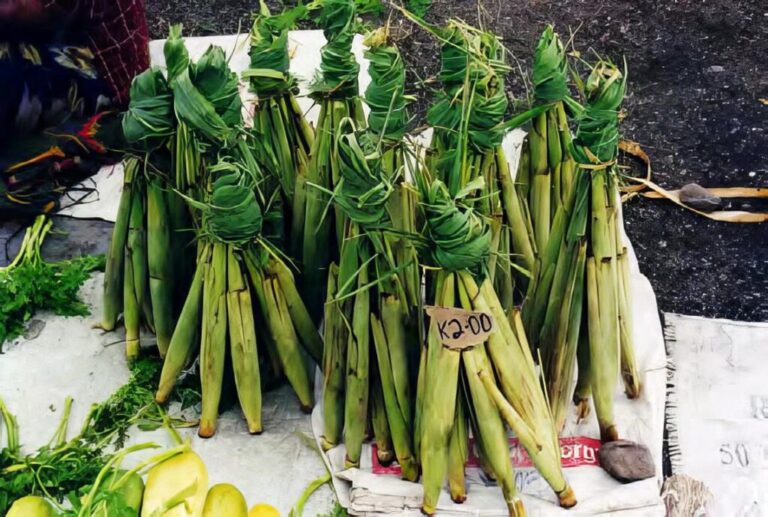 Pitpit – Edible grasses in Papua New Guinea - Bushguide 101