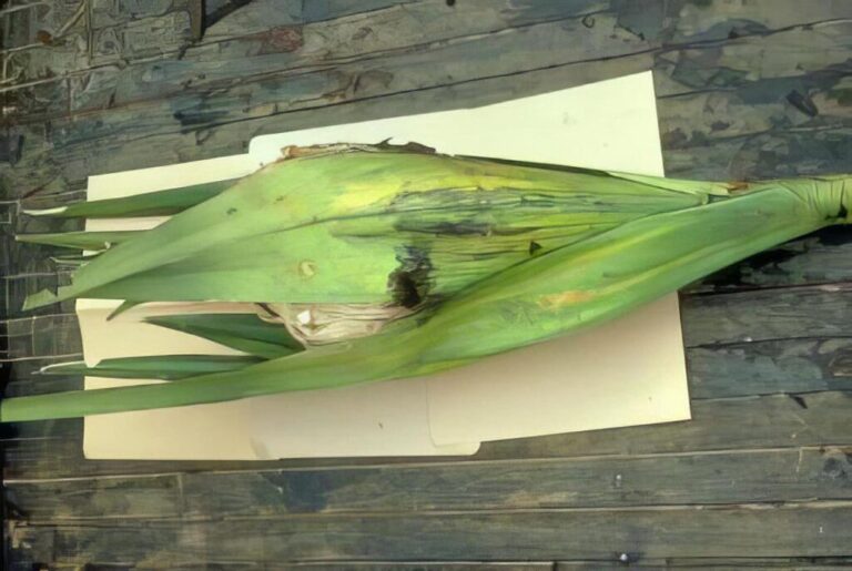 Wild Karuka and another pandanus fruit species - Bushguide 101