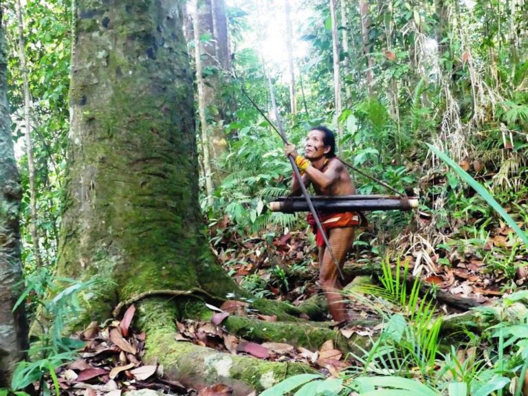 Hunting methods of Mentawai people - Bushguide 101