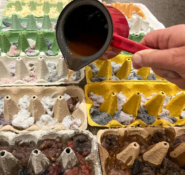 Egg carton fire starters - Bushguide 101