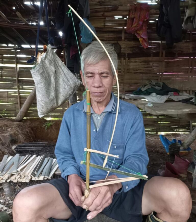 Bow Traps of Thái Đen tribals in Vietnam - Bushguide 101