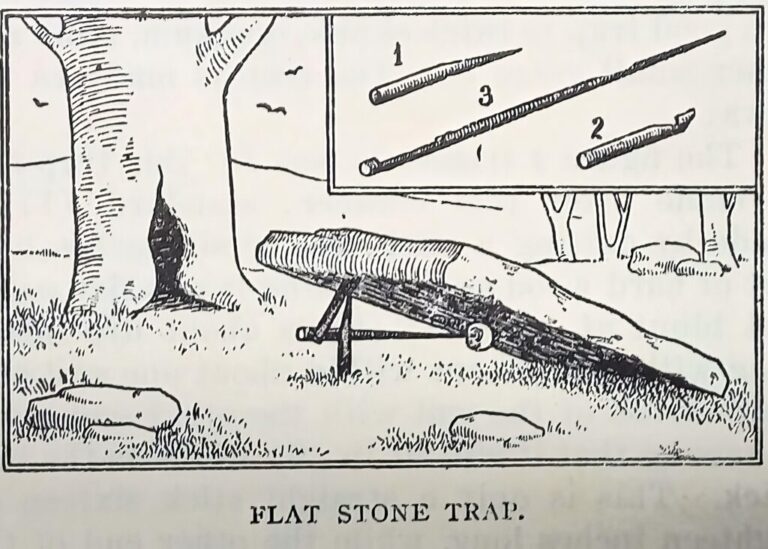 Deadfall Traps of Thái Đen tribals in Vietnam - Bushguide 101