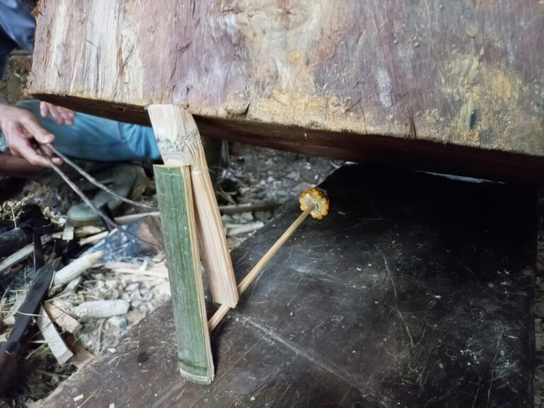 Deadfall Traps of Thái Đen tribals in Vietnam - Bushguide 101