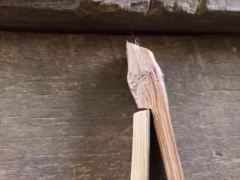 Deadfall Traps of Thái Đen tribals in Vietnam - Bushguide 101