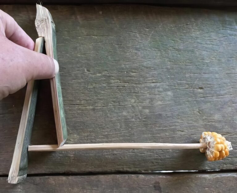 Deadfall Traps of Thái Đen tribals in Vietnam - Bushguide 101