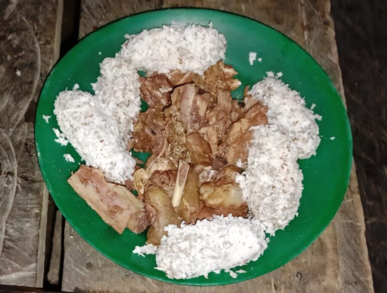 Taro – another staple food of the Mentawai people - Bushguide 101