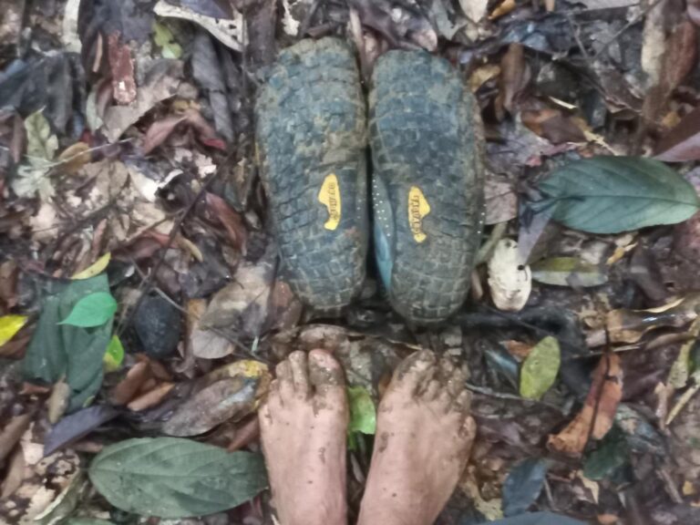 Blowpipe hunting with Orang Asli people in Malaysia - Bushguide 101