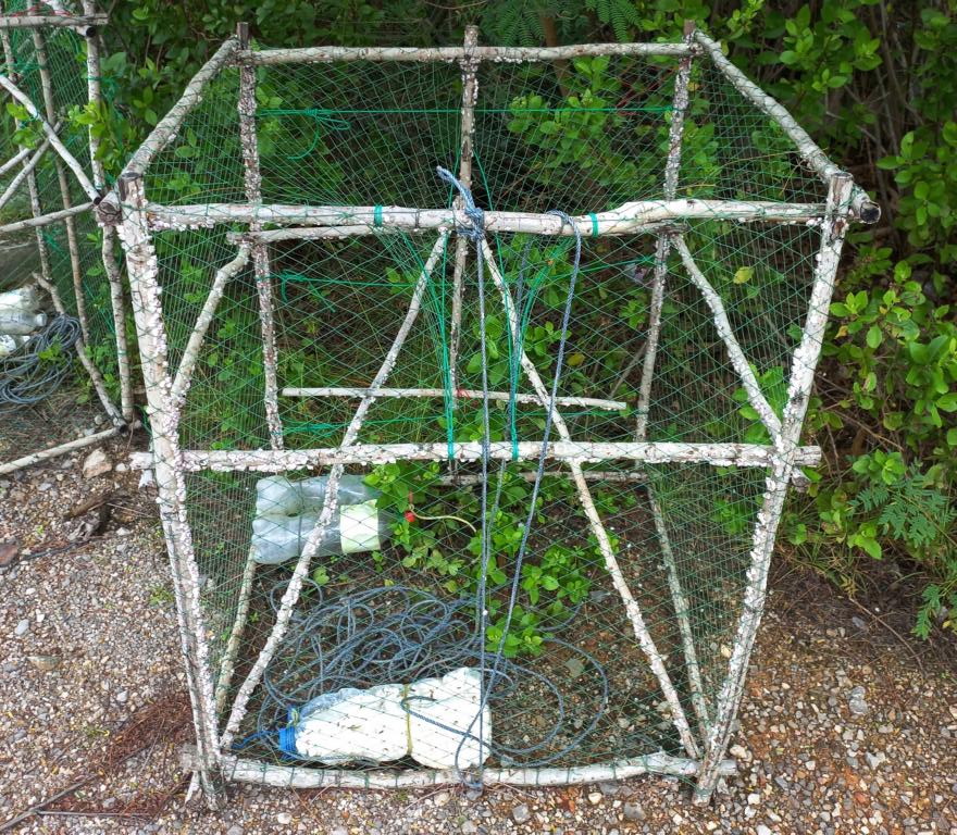 Rectangular squid traps in Thailand - Bushguide 101