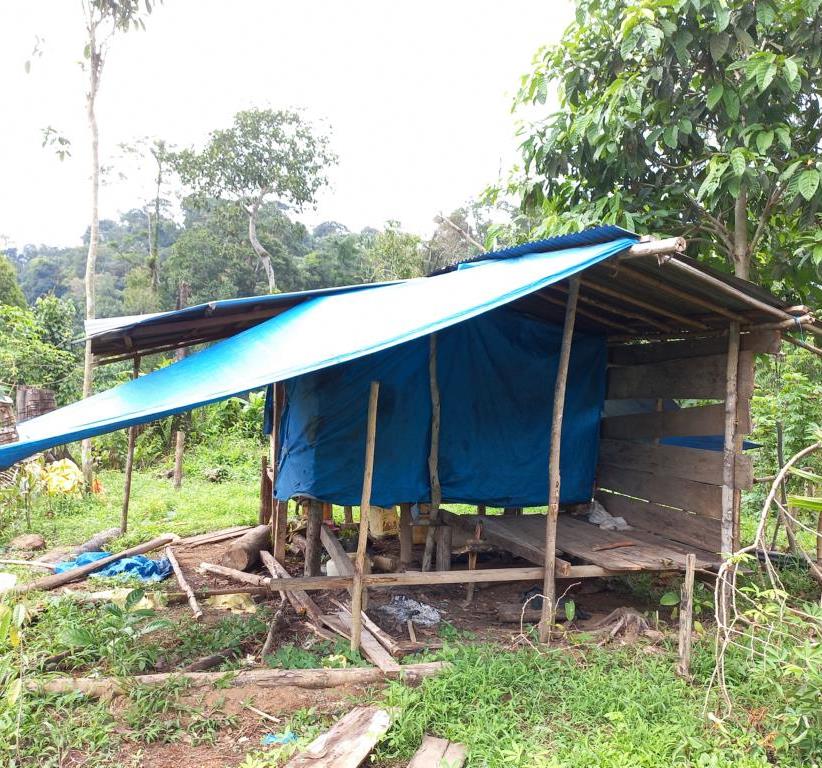 Orang Rimba shelters in the forests of Sumatra - Bushguide 101