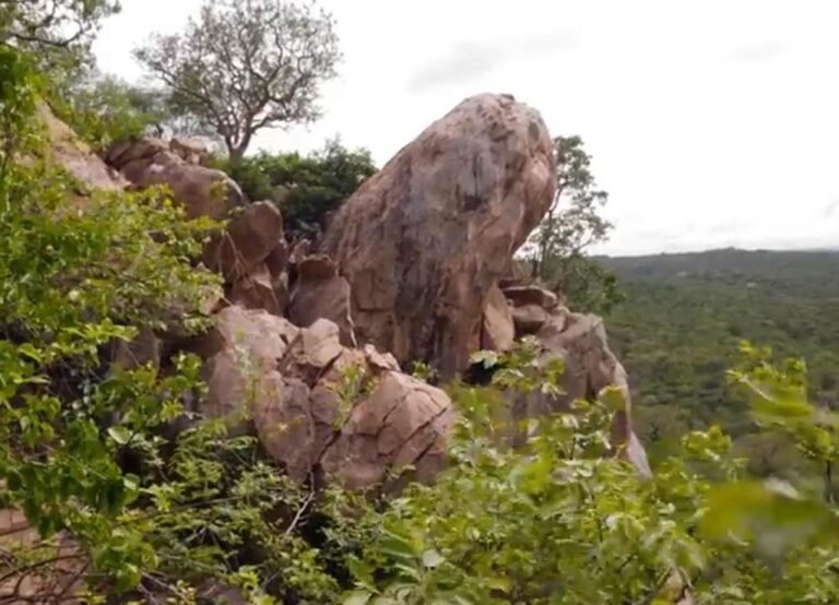 Hadza hunting techniques - Bushguide 101