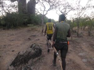 Hadza hunting techniques - Bushguide 101