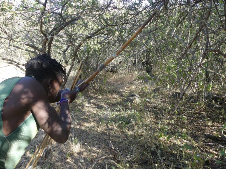 Hadza hunting techniques - Bushguide 101