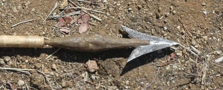 Hadza Arrow Poison - Strophanthus and Acokanthera species - Bushguide 101