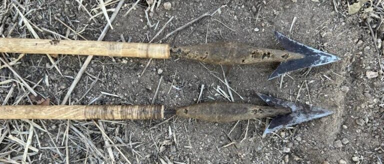 Hadza Arrow Poison - Strophanthus and Acokanthera species - Bushguide 101
