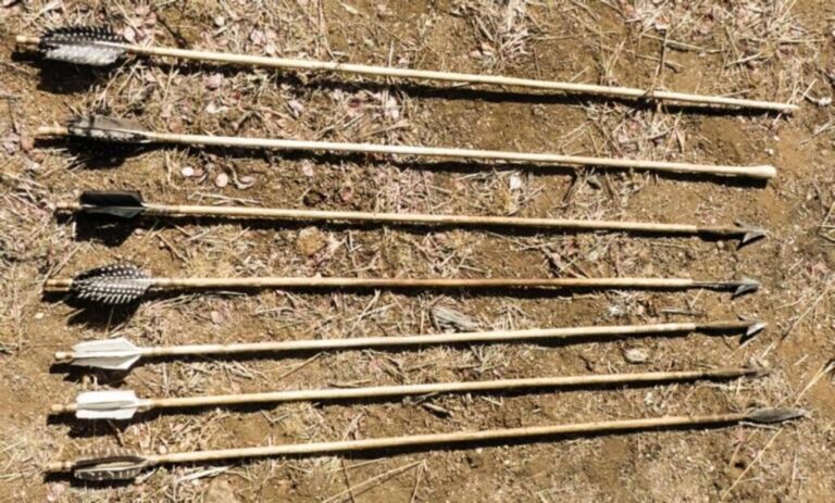 Hadzabe arrow shafts and fletchings - Bushguide 101