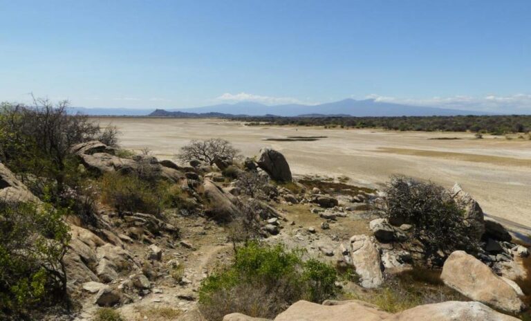 Hadza Arrow Poison made from Adenium species - Bushguide 101