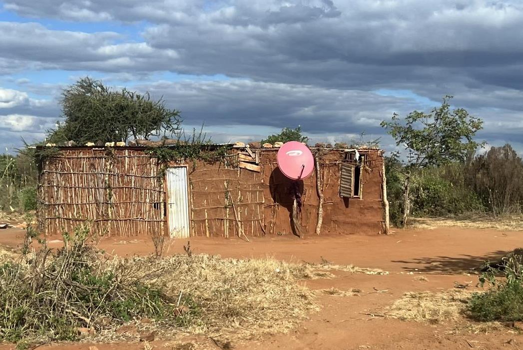 Datoga huts - Bushguide 101