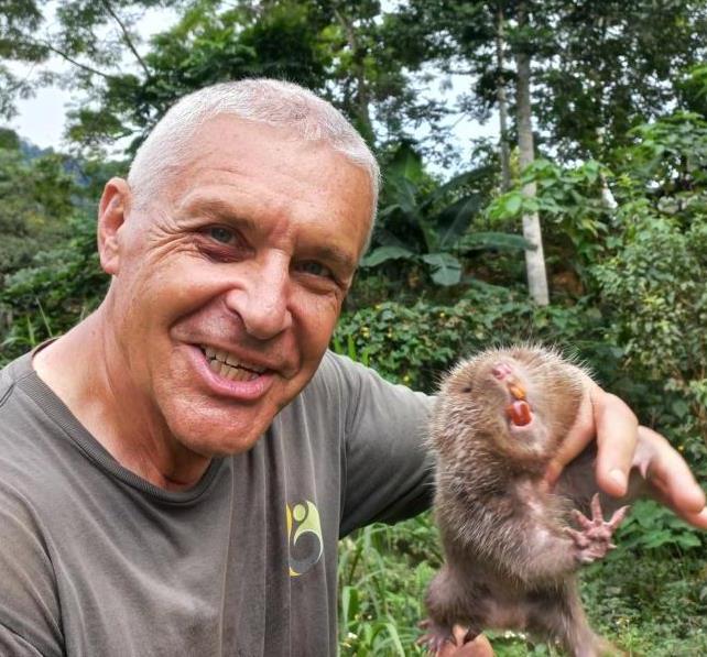 Bamboo rat for dinner - Bushguide 101