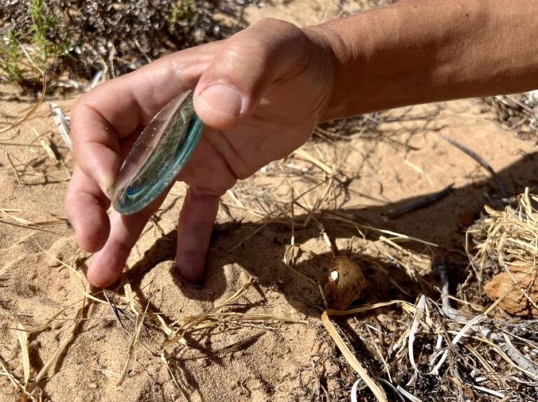 Creating fire with a magnifying glass - Bushguide 101