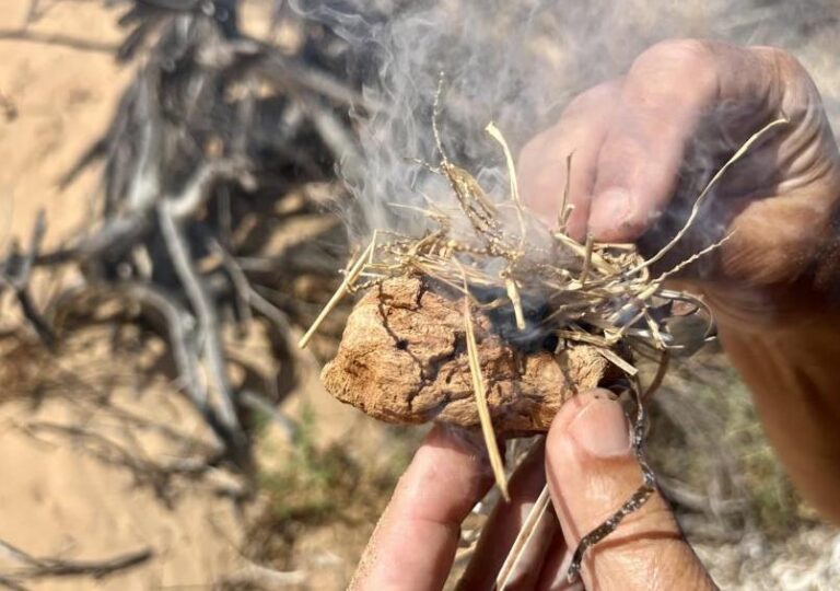 Creating fire with a magnifying glass - Bushguide 101