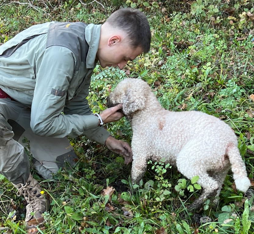 White truffle hunting in Istria/Croatia - Bushguide 101