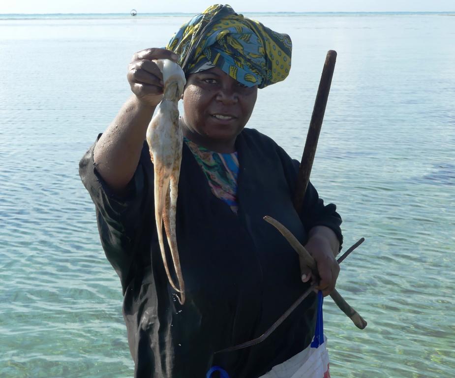 Catching octopuses in the lagoons - Bushguide 101