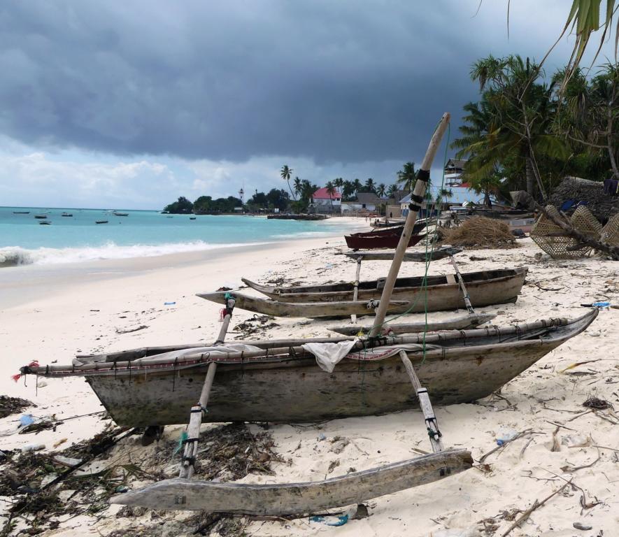 Ngalawa boats - Bushguide 101